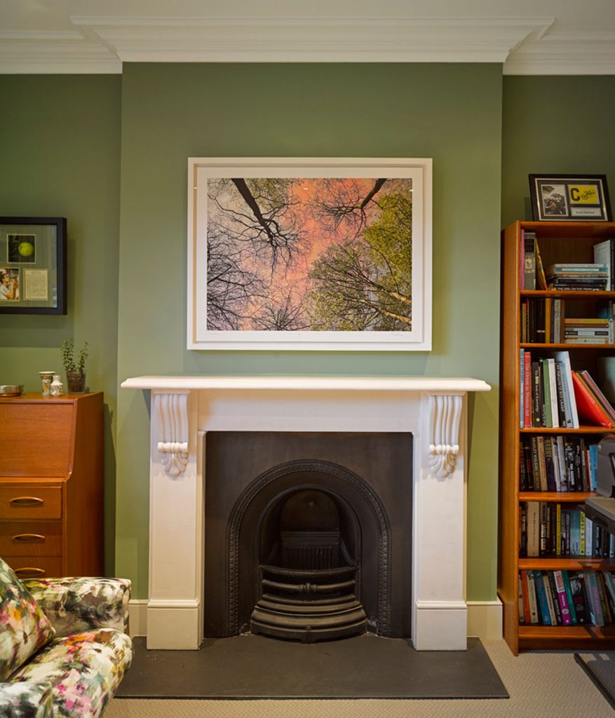 Forest Sky Series | Siobhan Doran Photography